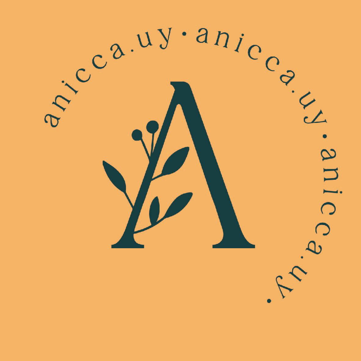 anicca.uy Tienda sustentable