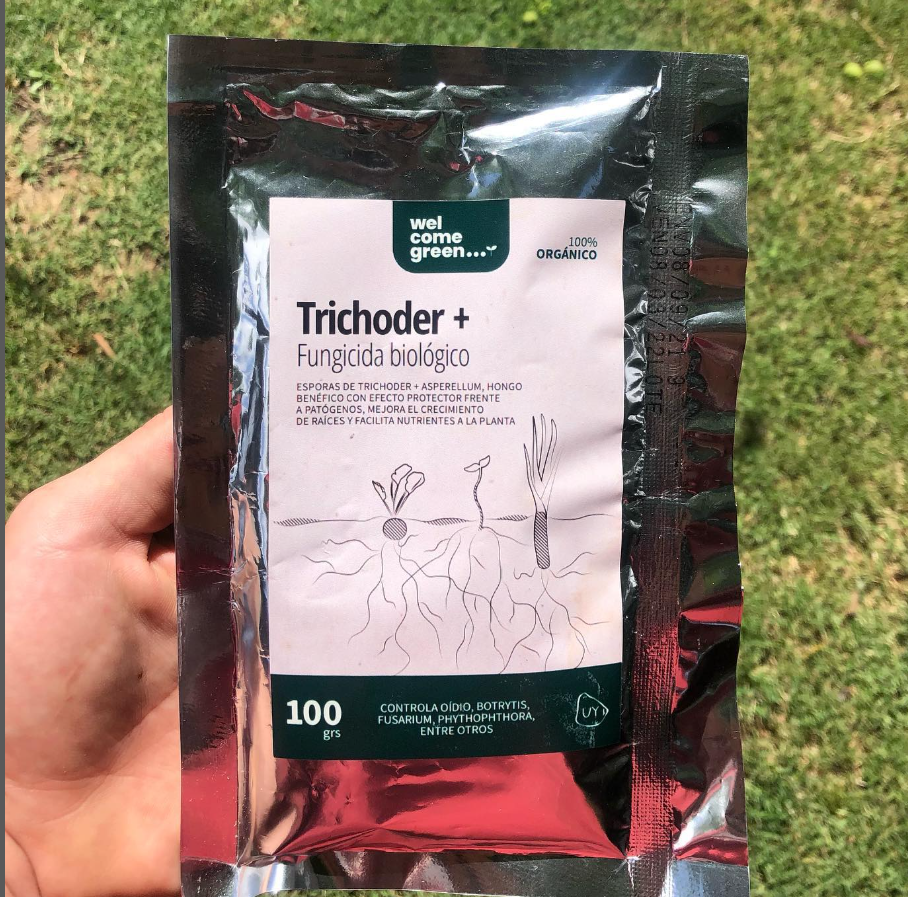 Trichoderma asperellum Biofungicida – anicca.uy