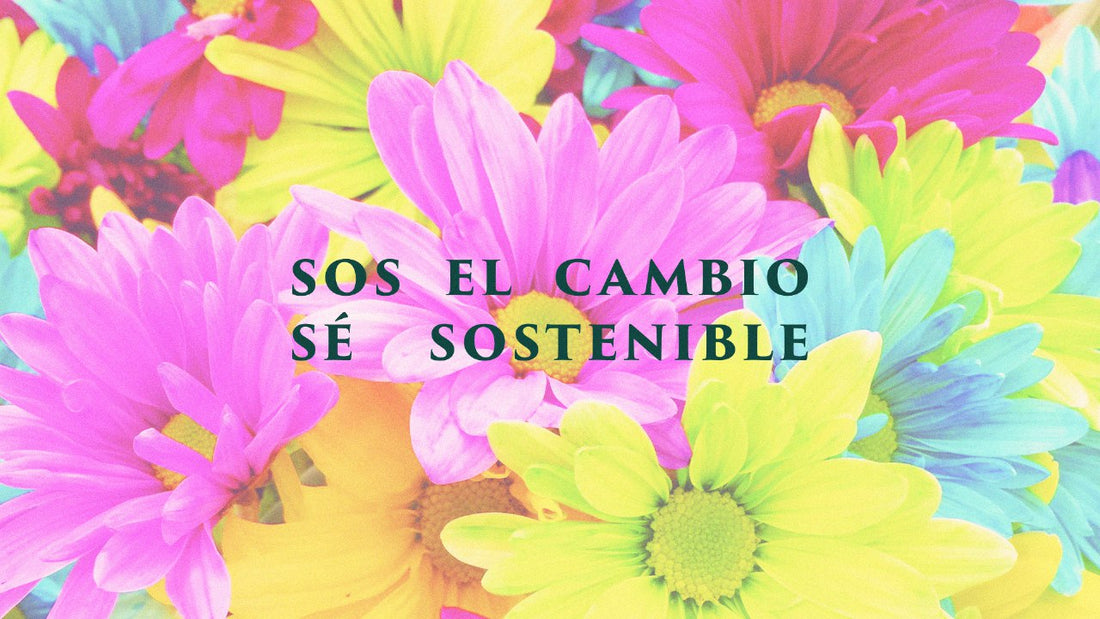 Tienda sostenible – anicca.uy